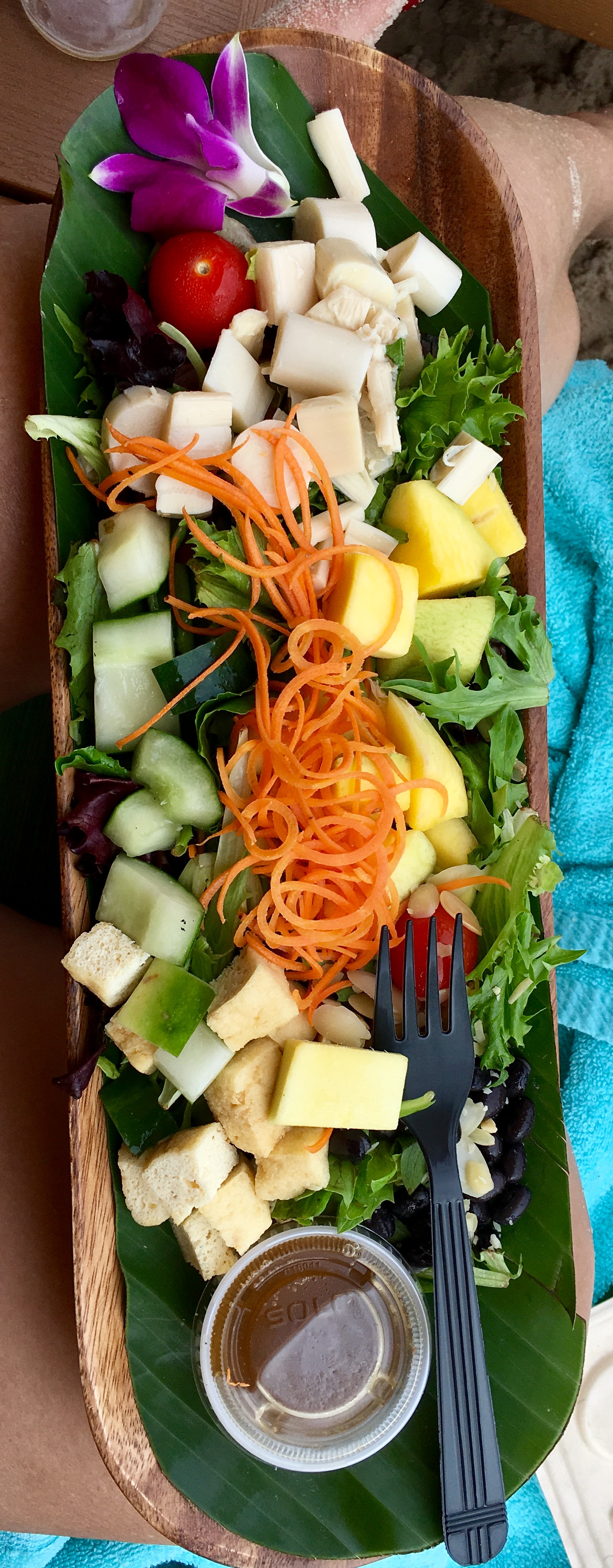 Weekend Universal Studios and VOLCANO BAY trip! - Sonia Dekker