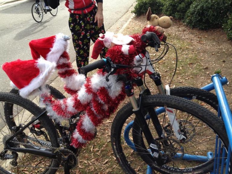 AWESOME BIKE COSTUME IDEAS Sonia Dekker awesome-bike-costume-ideas-sonia-dekker